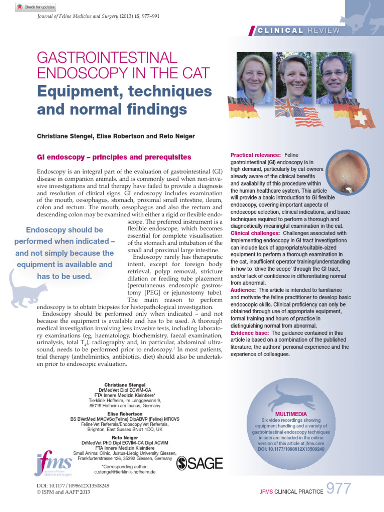Stengel Et Al 2013 Gastrointestinal Endoscopy in The Cat Equipment ...