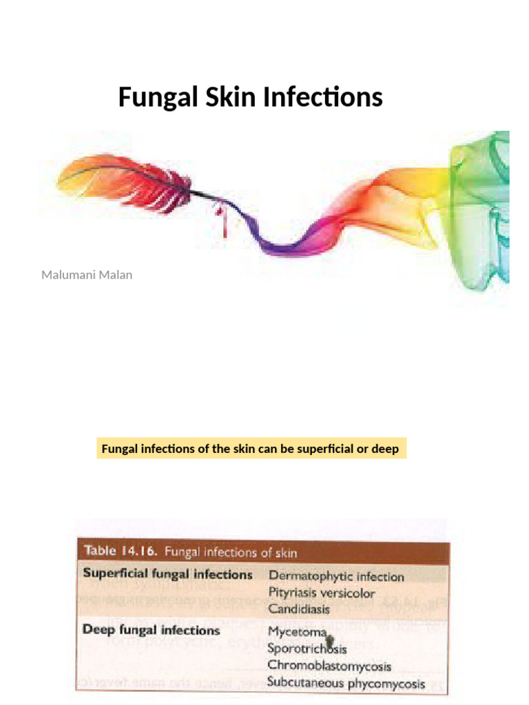 Understanding Fungal Skin Infections | PDF | Candidiasis | Candida (Fungus)