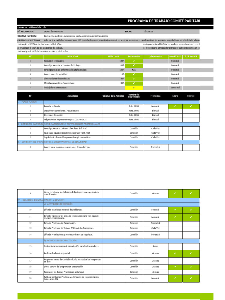 Programa Trabajo CPHS 2025 v1 | PDF