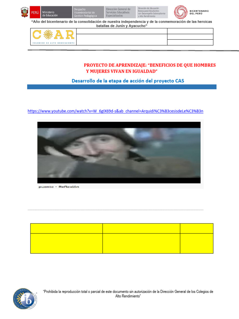 Dmpa 21 Cas | PDF | Sustentabilidad | Desarrollo sostenible