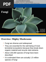 Fungus Worksheet | PDF | Science & Mathematics