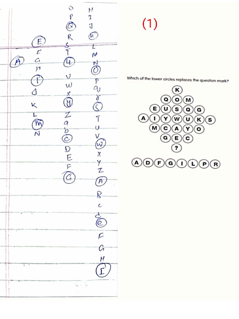Fast Past Paper 1 Iq Solved-1 | PDF