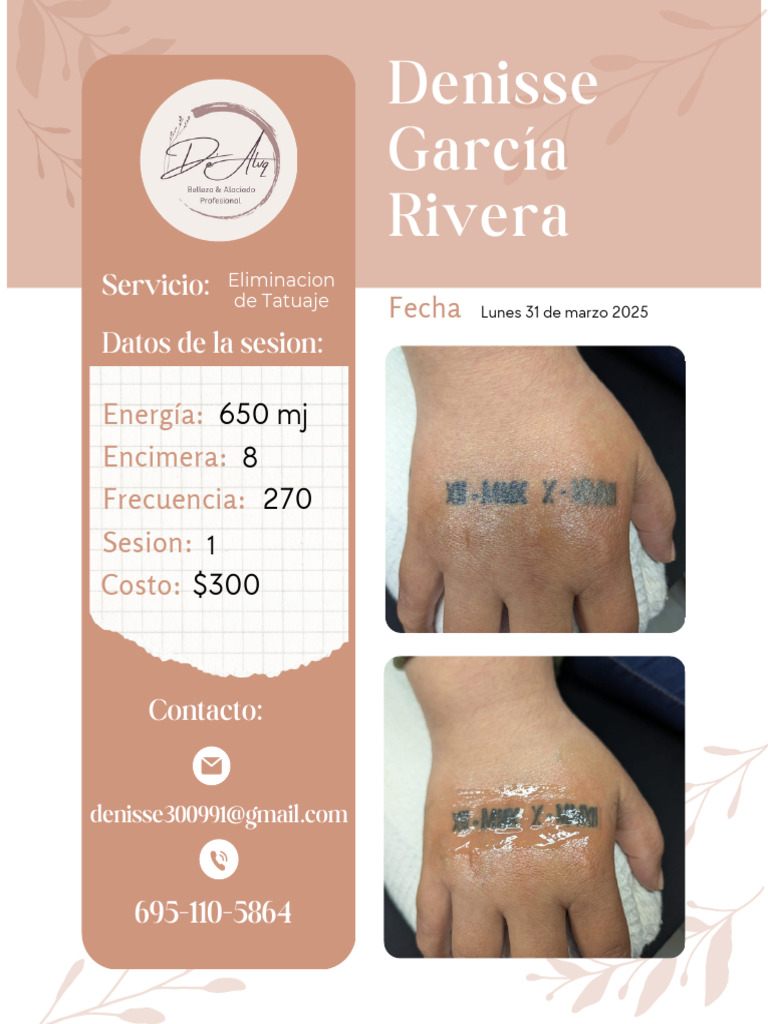 Sesion 1 Denisse | PDF