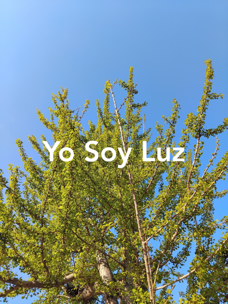 Yo Soy Luz | PDF