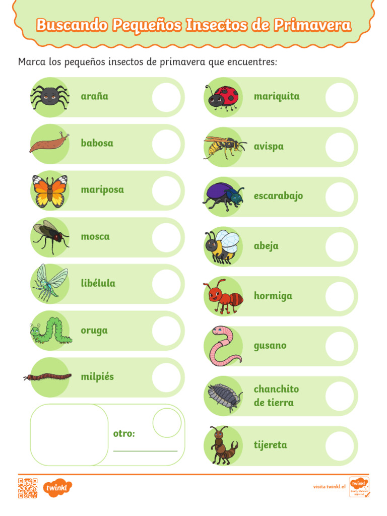 Insectos de Primavera para Identificar | PDF