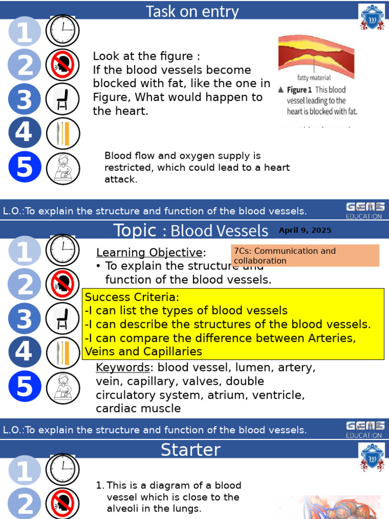 9.blood Vessels | PDF | Artery | Vein