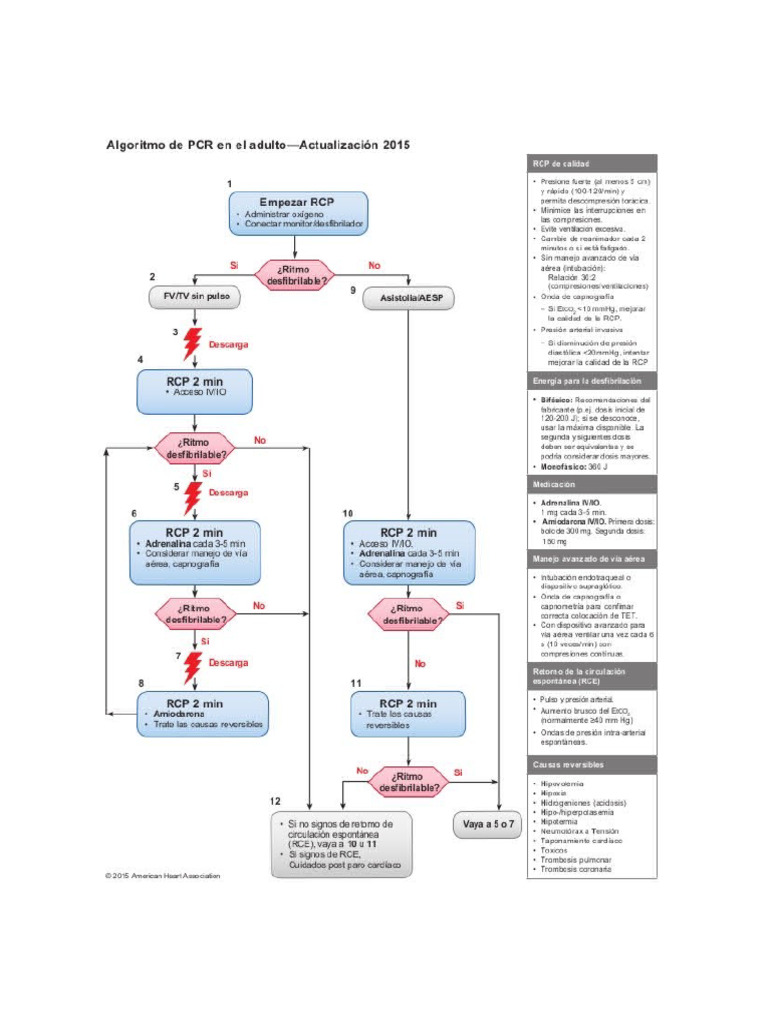 Algoritmos urgencias.docx | PDF