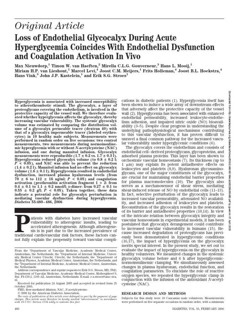 Loss of Endothelial Glycocalyx During Acute Hyperglycemia Coincides ...