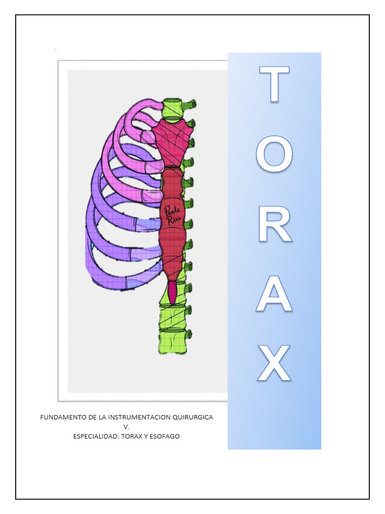 Instrumentación Quirúrgica en Tórax | PDF