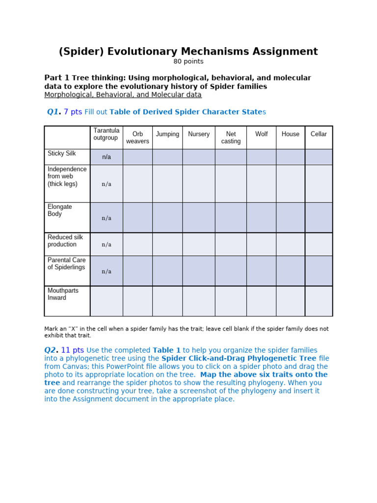 Spider Evol Assignment 2024 | PDF | Natural Selection | Spider