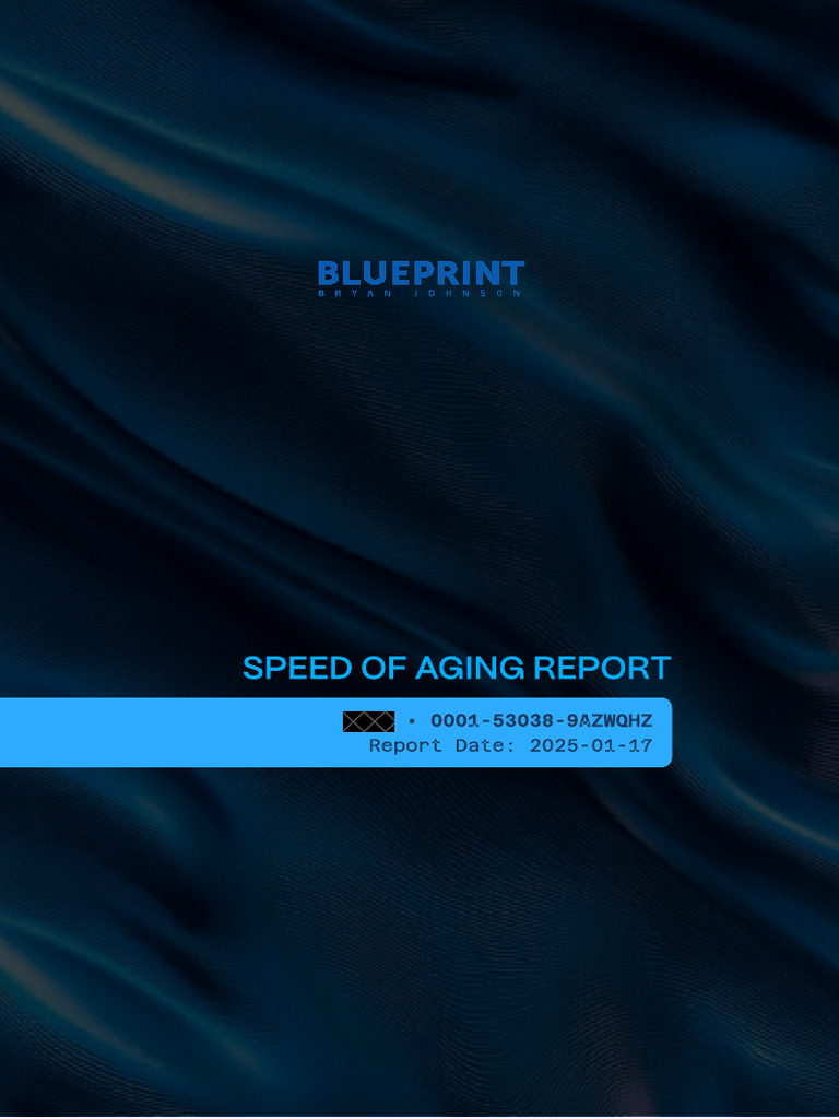 blueprint-soa-sample-report (1) | PDF