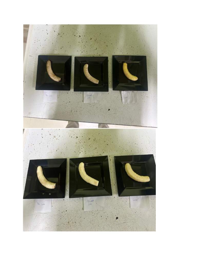 Bananas | PDF