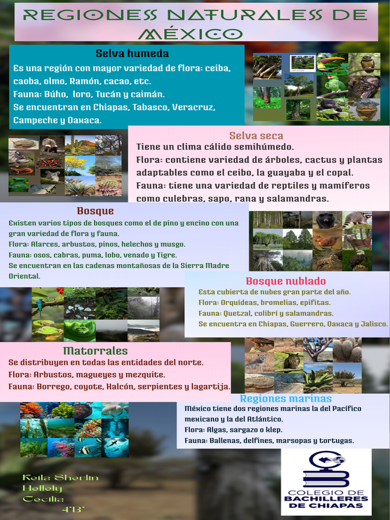 Infografia Regiónes Naturales de México - 20250329 - 150429 - 0000 | PDF