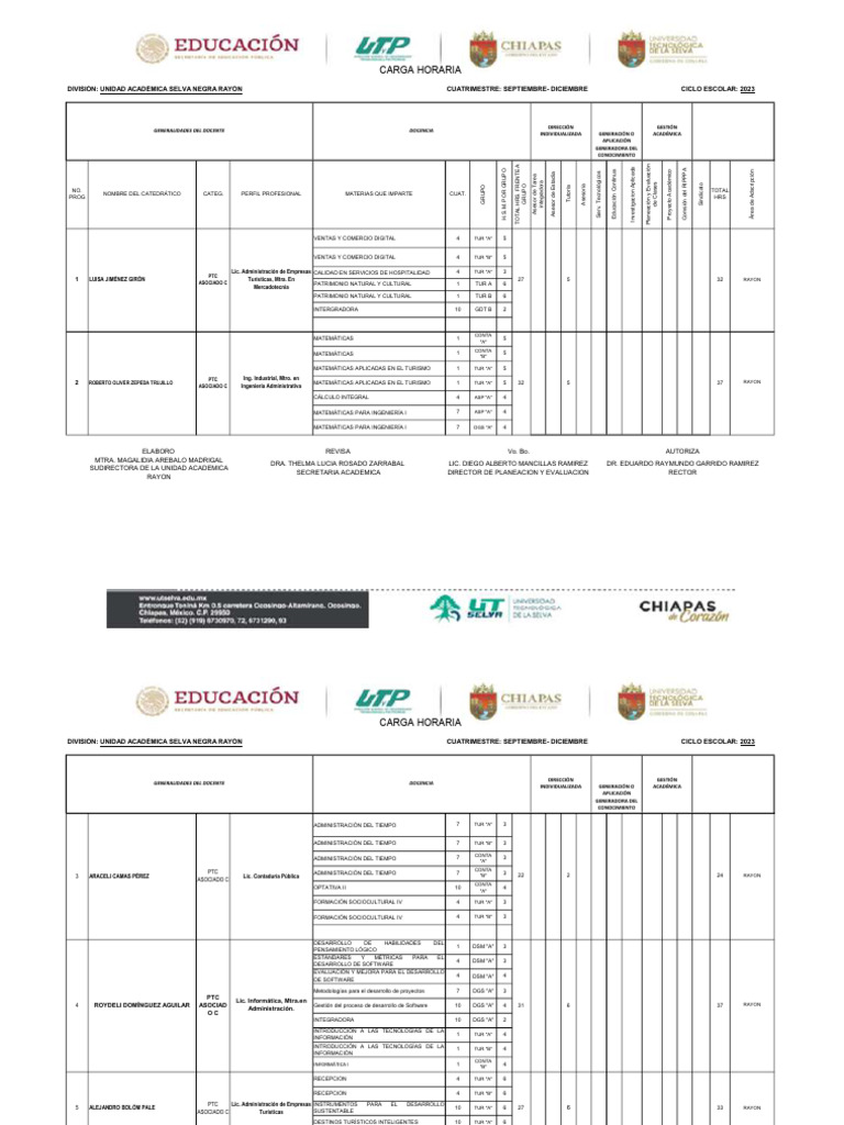 Proyeccion de Carga Jefa | PDF | Business