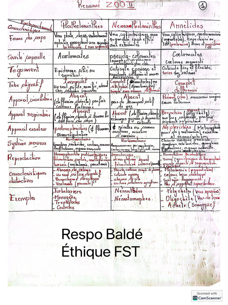 Résumé Zoo2 by Respo Baldé | PDF