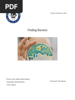 Bacteria Testing Science Fair Ideas | PDF | Experiment | Hypothesis