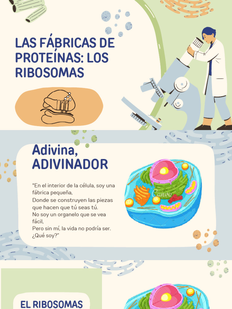 Presentación Educativa Sobre Exploración Detallada de Las Células en ...