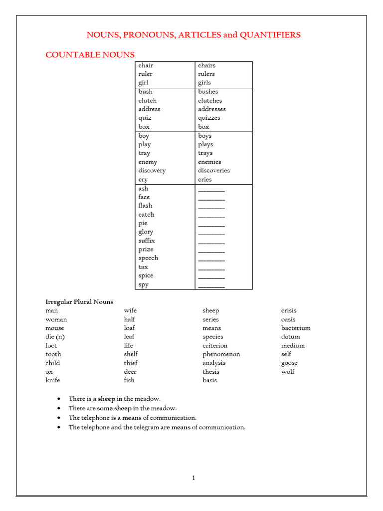 Konu Anlatimi - Articles, Nouns, Quantifiers | PDF | Noun