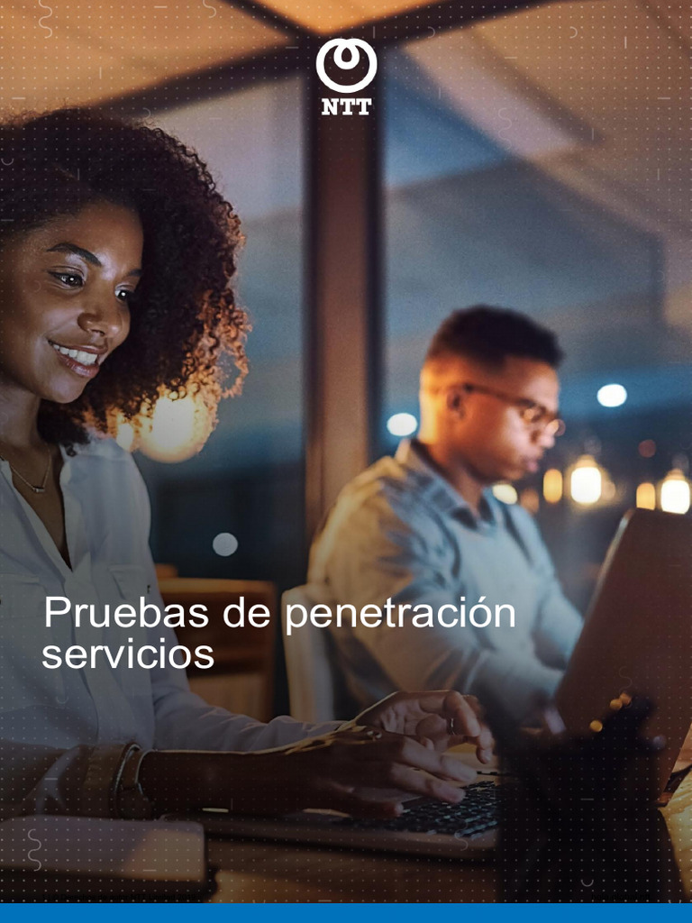 Penetration Testing Services Catalogue Brochure | PDF | Computación en ...