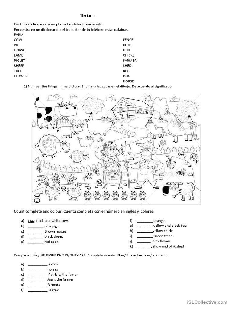 Reading Activity | PDF
