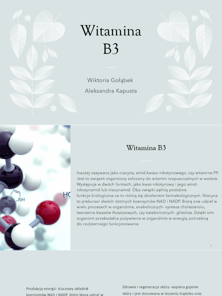 Witamina b3 Aleksandra Kapusta | PDF
