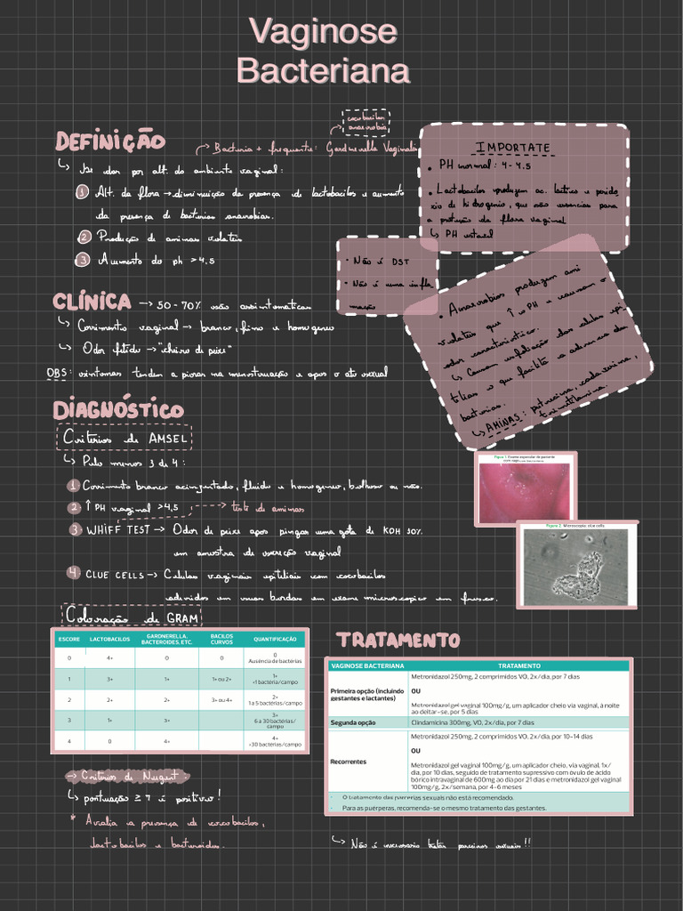 Vaginose Bacteriana | PDF | Microbiologia | Especialidades médicas