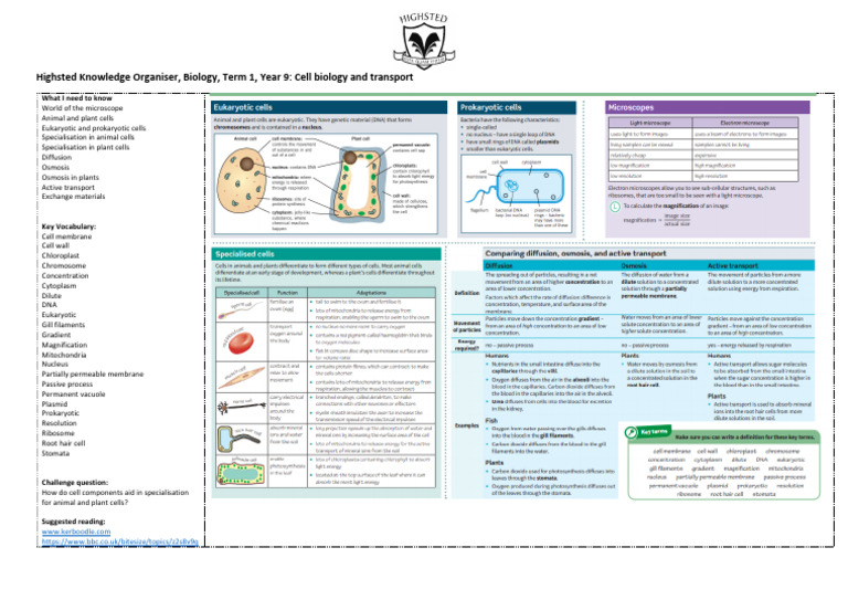 Biol Y9 Term 1 | PDF