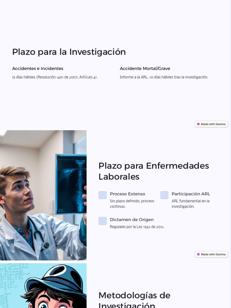 Plazo para La Investigacion | PDF