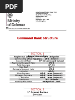 The Pecking Order Poster As A High Resolution | PDF | Military Rank ...