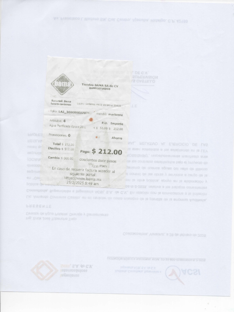 Escáner 20250228 | PDF