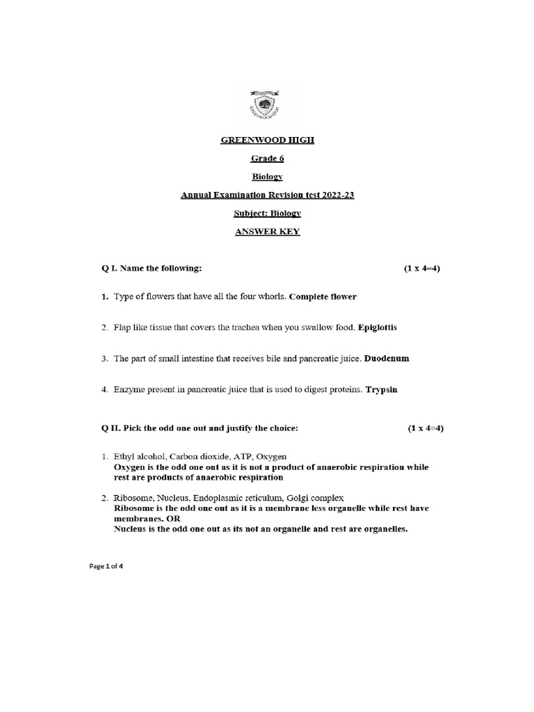 Annual exam revision answer key | PDF