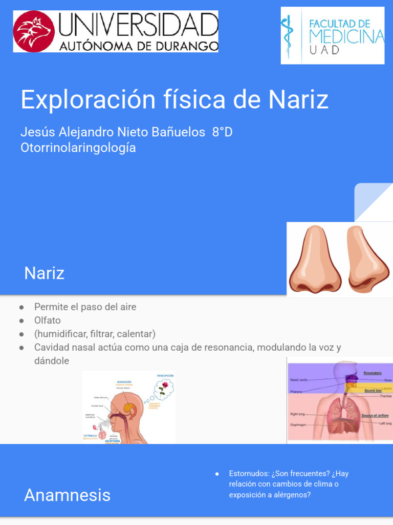 exploracion de Naríz | PDF
