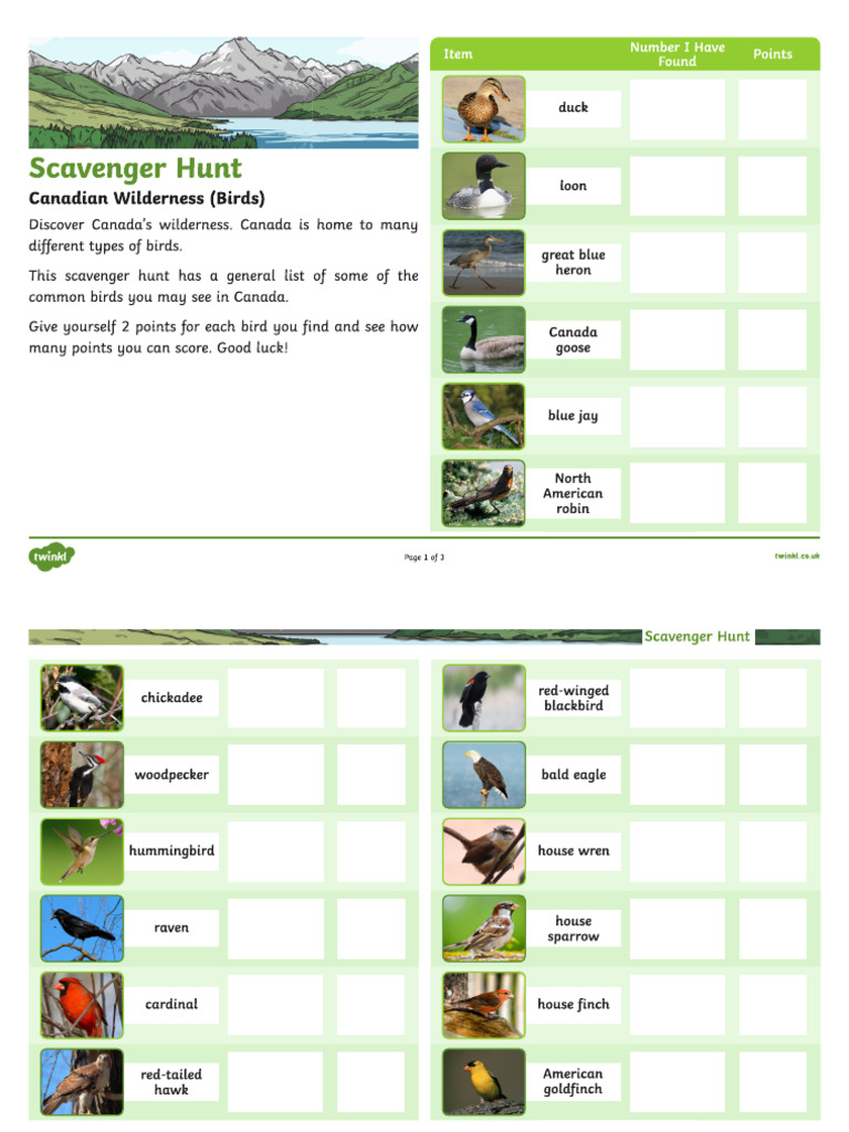 Scavenger Hunt Nature Walk Birds | PDF