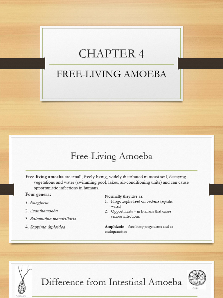 CHAPTER 4 - Free Living Amoeba | PDF