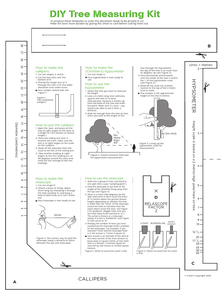 Template Diy Tree Measuring Kit | PDF