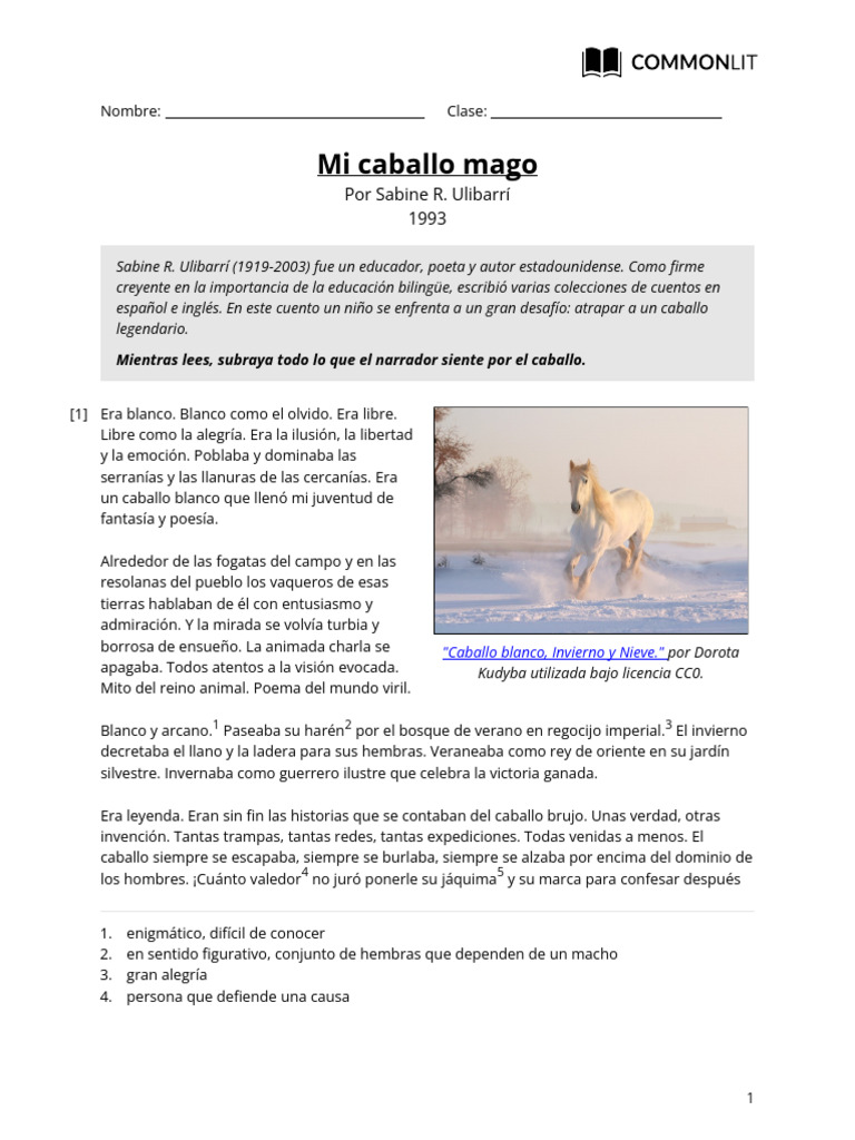 Mi Caballo Mago-Student | PDF | Caballos