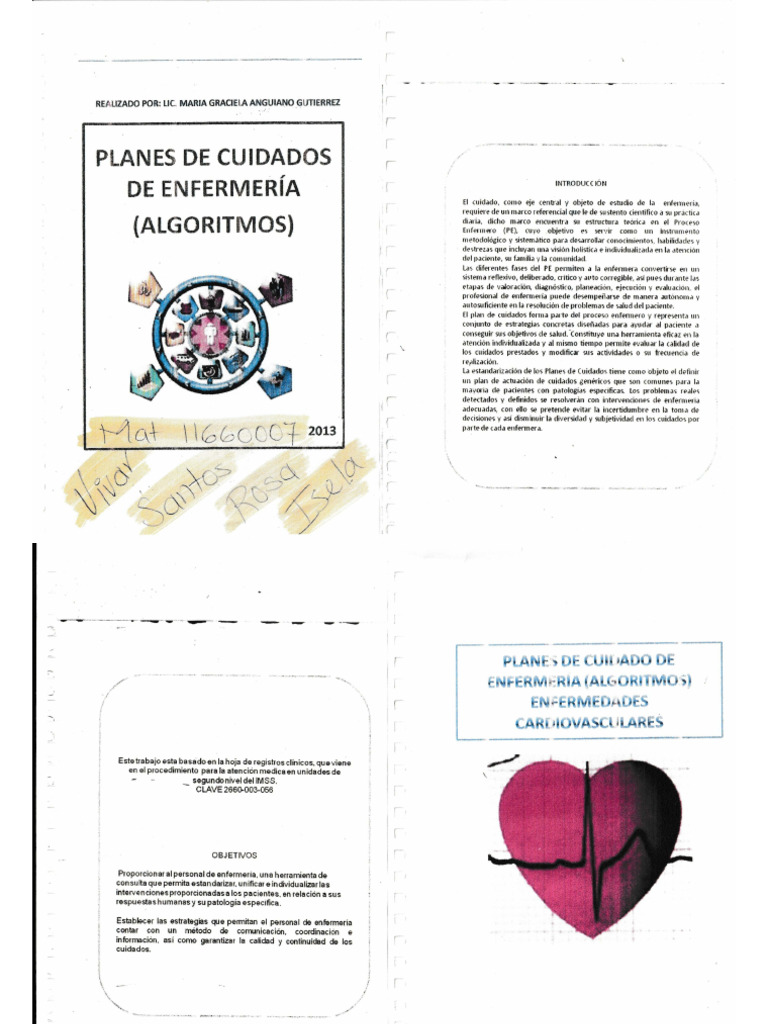 Planes de Cuidados de Enfermeria | PDF