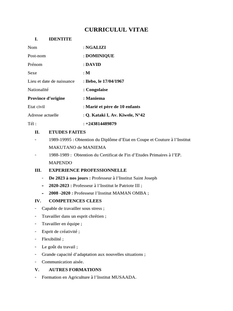CV de Dominique Ngalizi, Enseignant Congolais | PDF