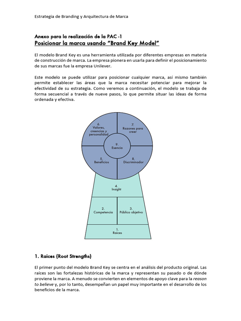 Estrategia con el Modelo Brand Key | PDF | Marca | Producto (Negocio)