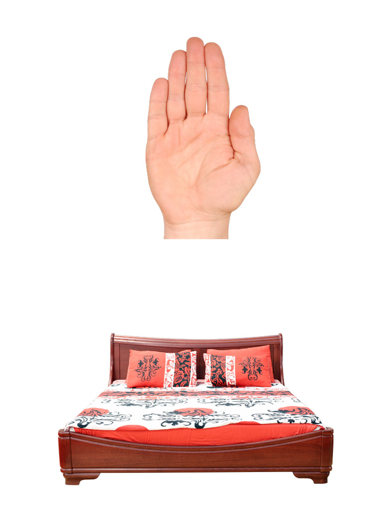 Maria Melgar Imagenes | PDF