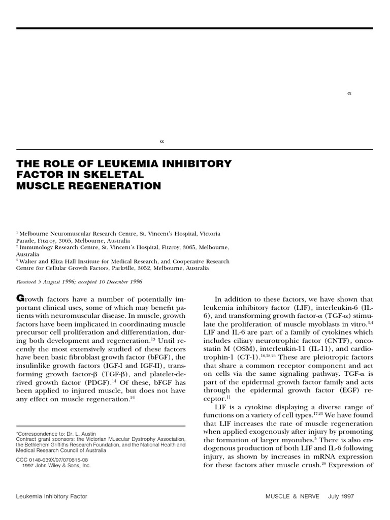 Kurek1997 - The Role of Leukemia Inhibitory Factor in Skeletal Muscle ...