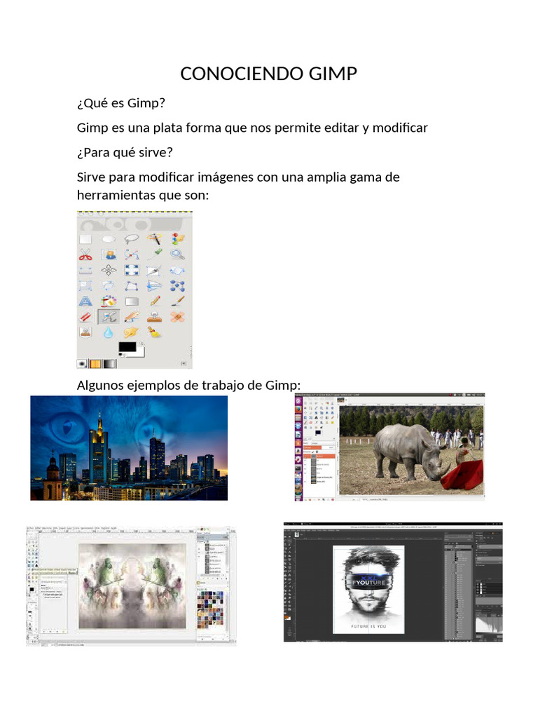 Conociendo Gimp | PDF