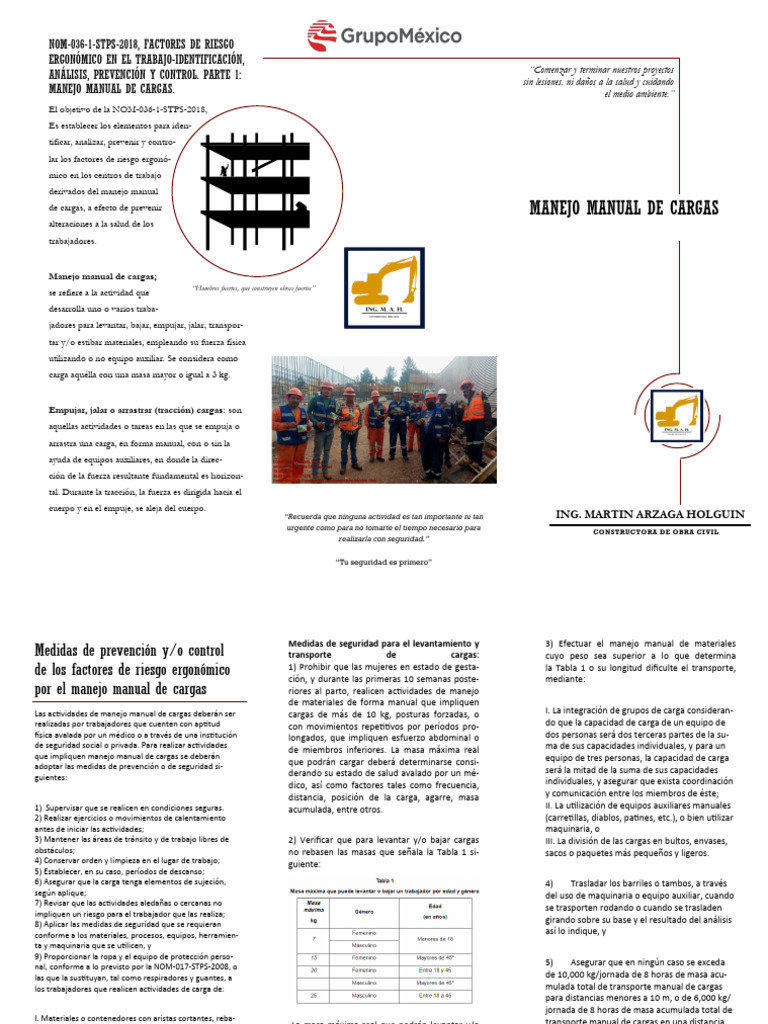 T Manejo Manual de Cargas NOM-036-1-STPS-2018 | PDF