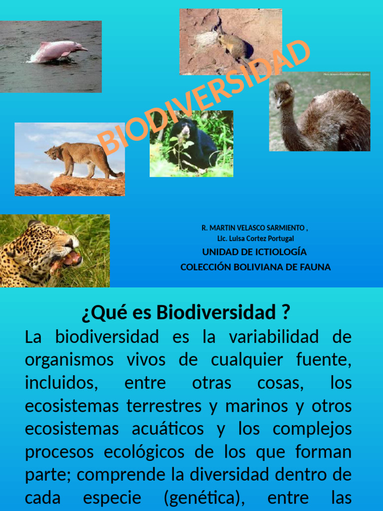 Bio Divers I Dad | PDF | Biodiversidad | Bolivia