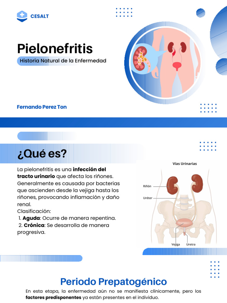 Pielonefritis PDF | PDF | Infección del tracto urinario | Enfermedades y trastornos