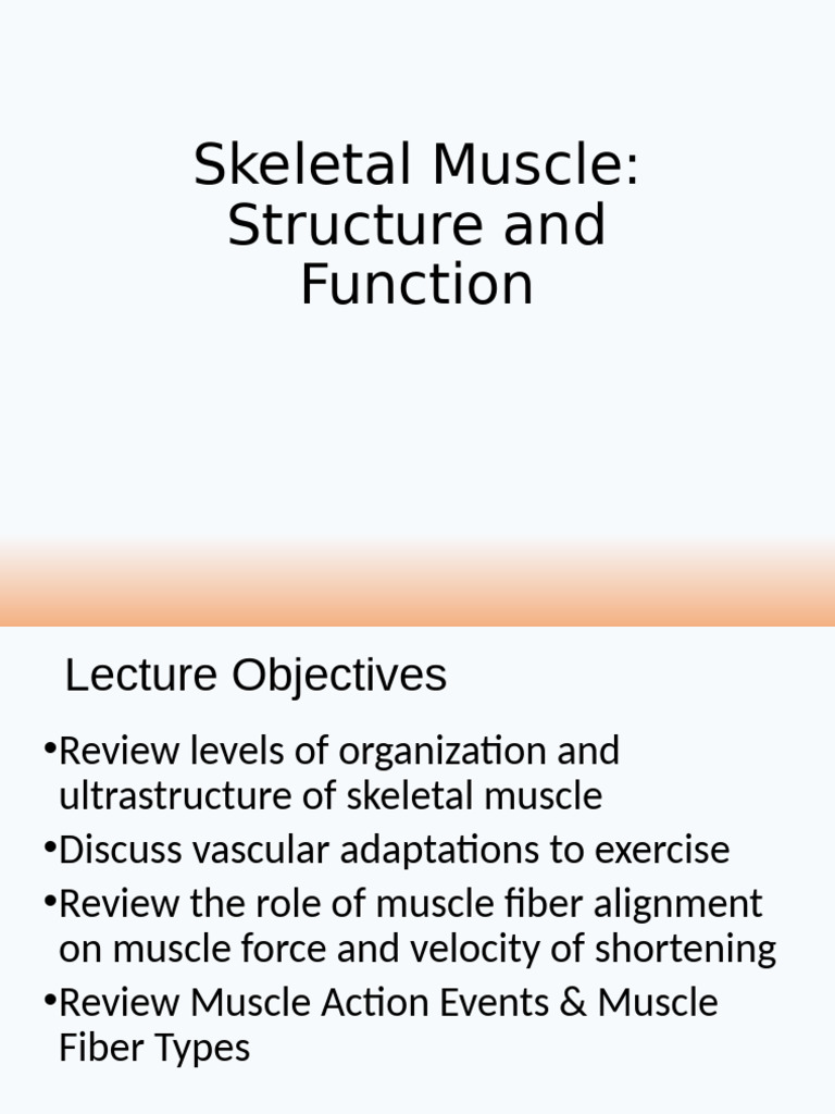 KINS 470 Skeletal Muscle Structure and Function Review 3 | PDF ...