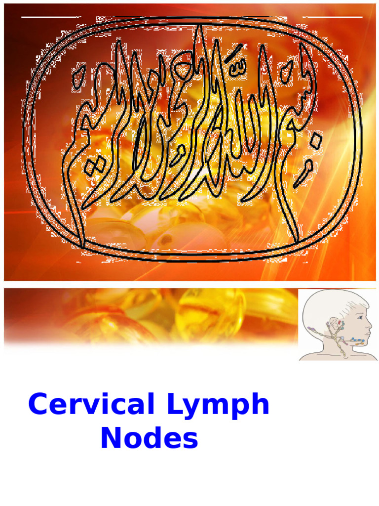 Cervical Lymph Node Anatomy & Conditions | PDF | Neck | Lymphatic System