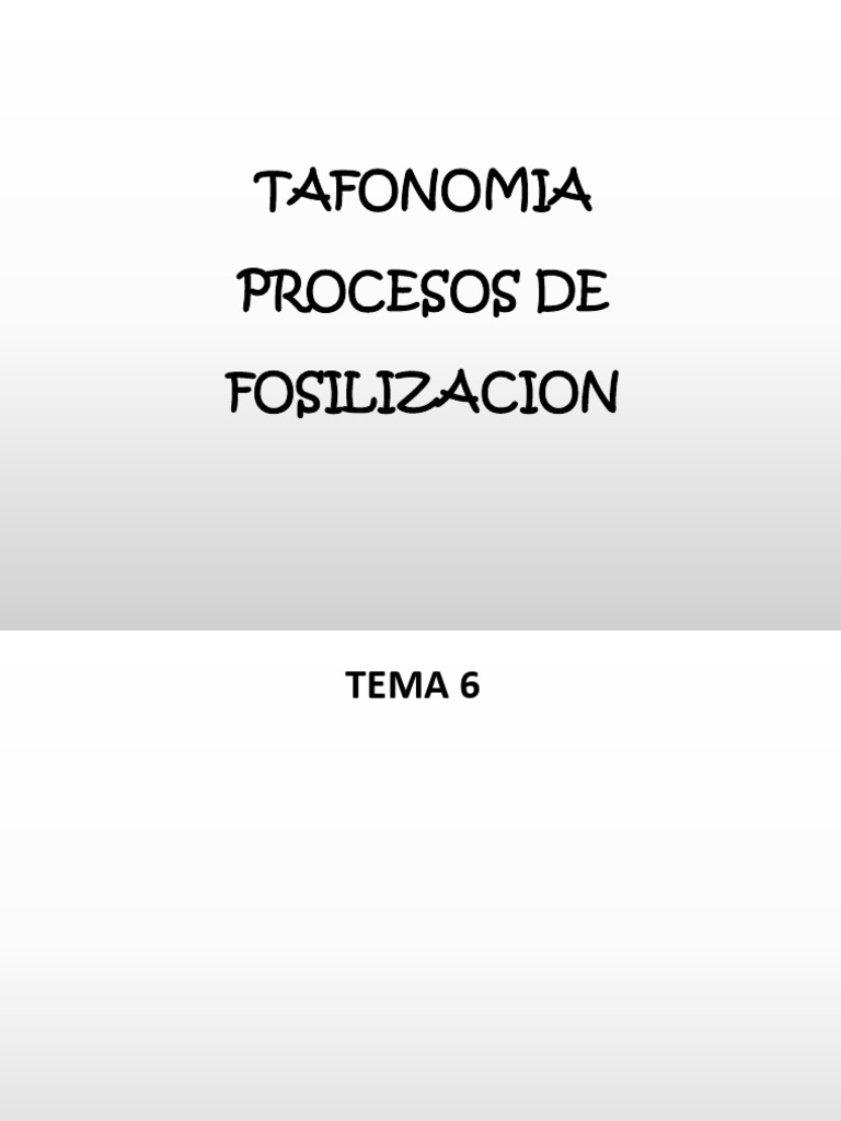 Procesos de Fosilización y Tafonomía | PDF | Fósil | Paleontología