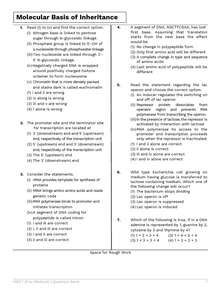 Molecular Basis of Inheritance - Student | PDF | Dna | Dna Replication