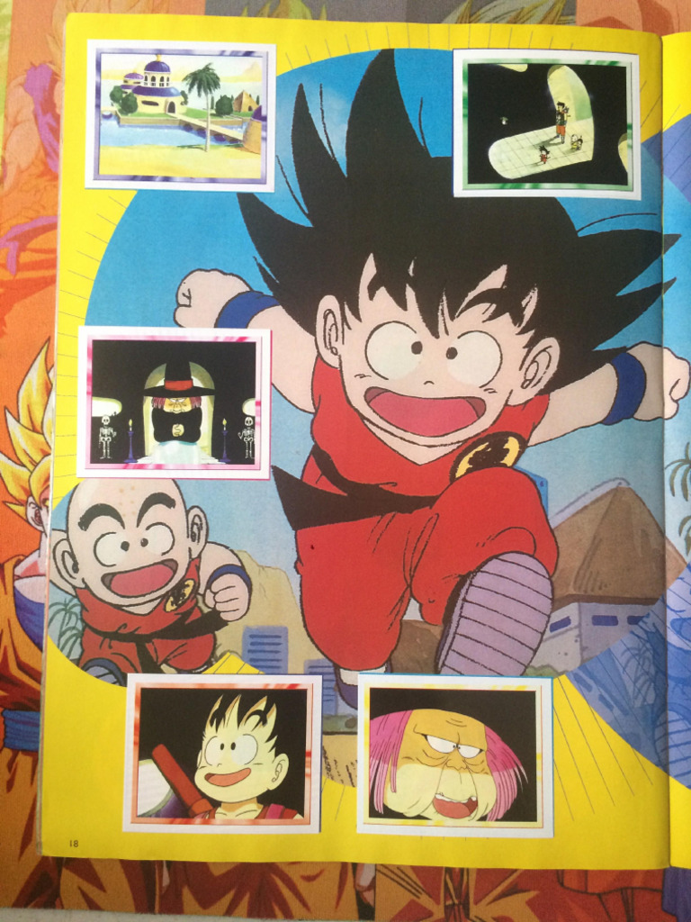 Fábrica de Formatos PicPDF 20 | PDF